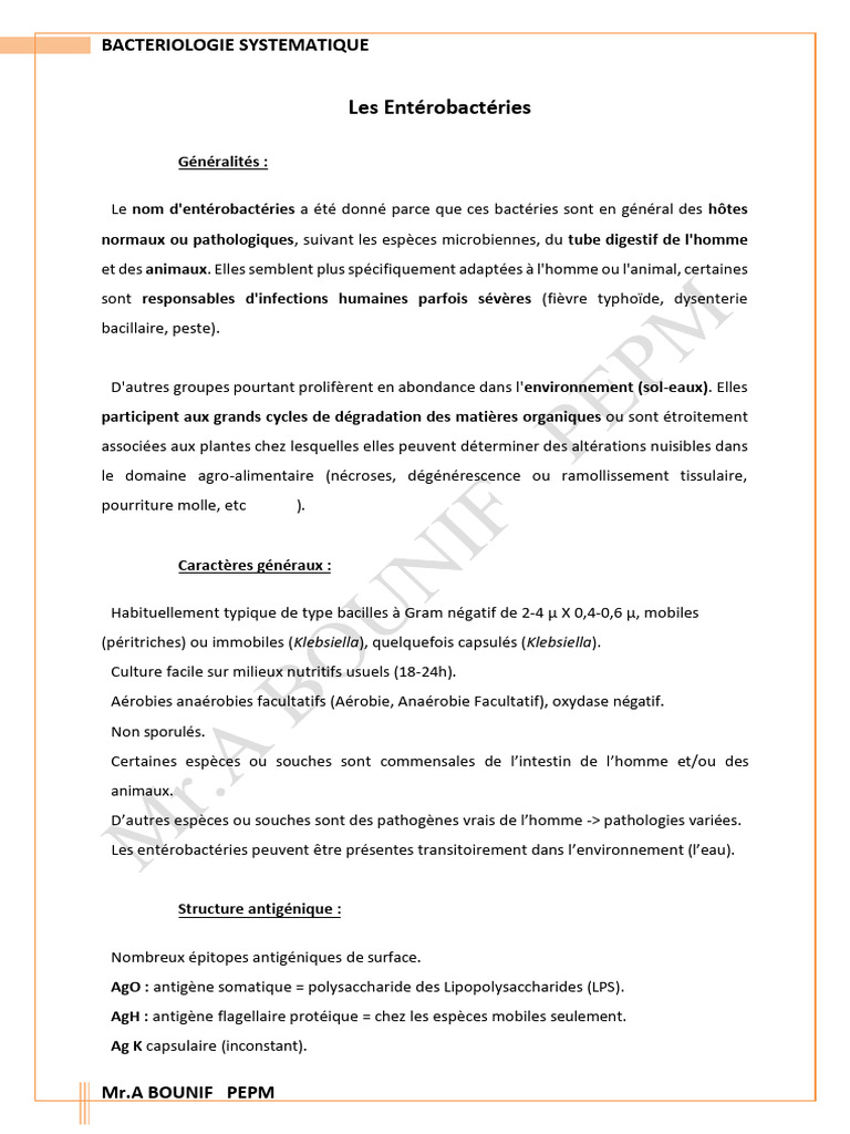 Entérobactéries : Caractéristiques et Pathogénie | PDF | Immunologie ...