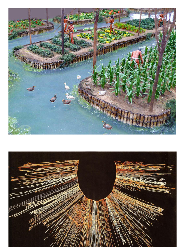 Activity in STS (03.5-6.25) | PDF