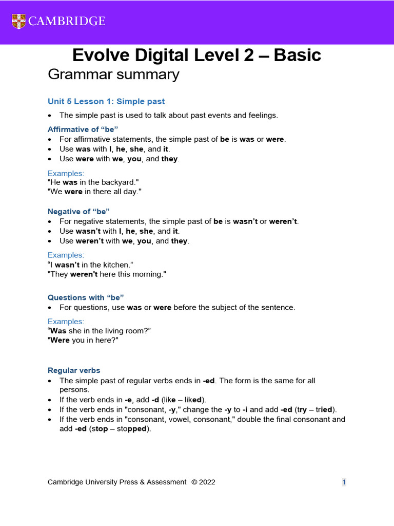 Unit 5 - BS - Grammar | PDF