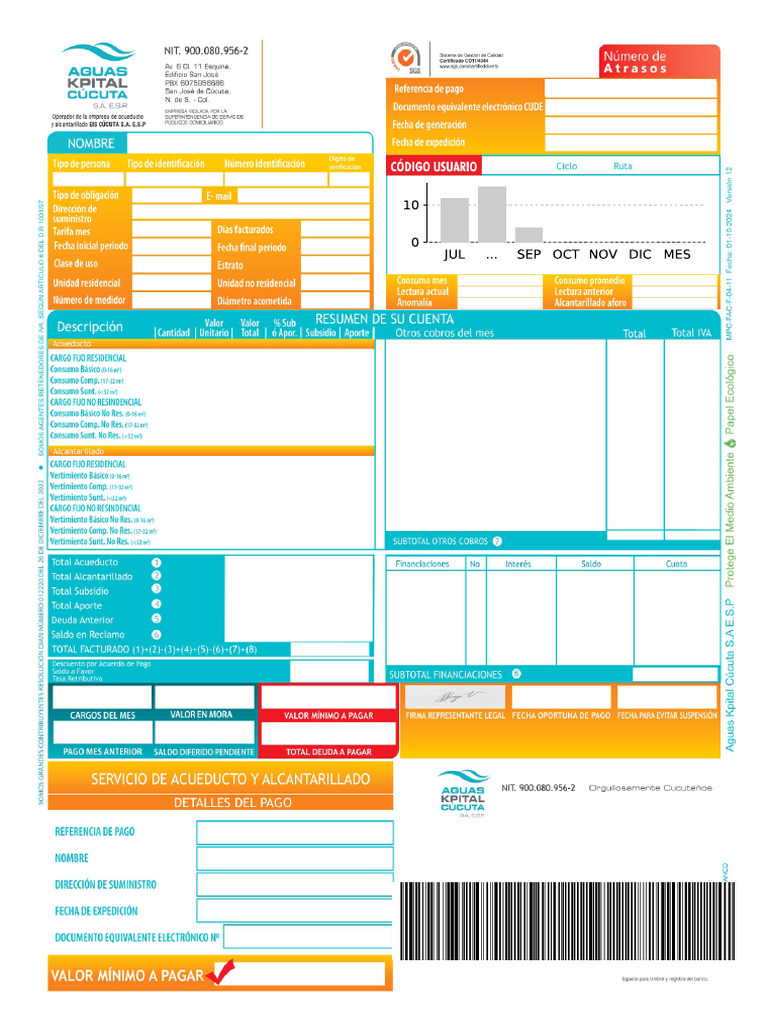 Factura 202501 | PDF
