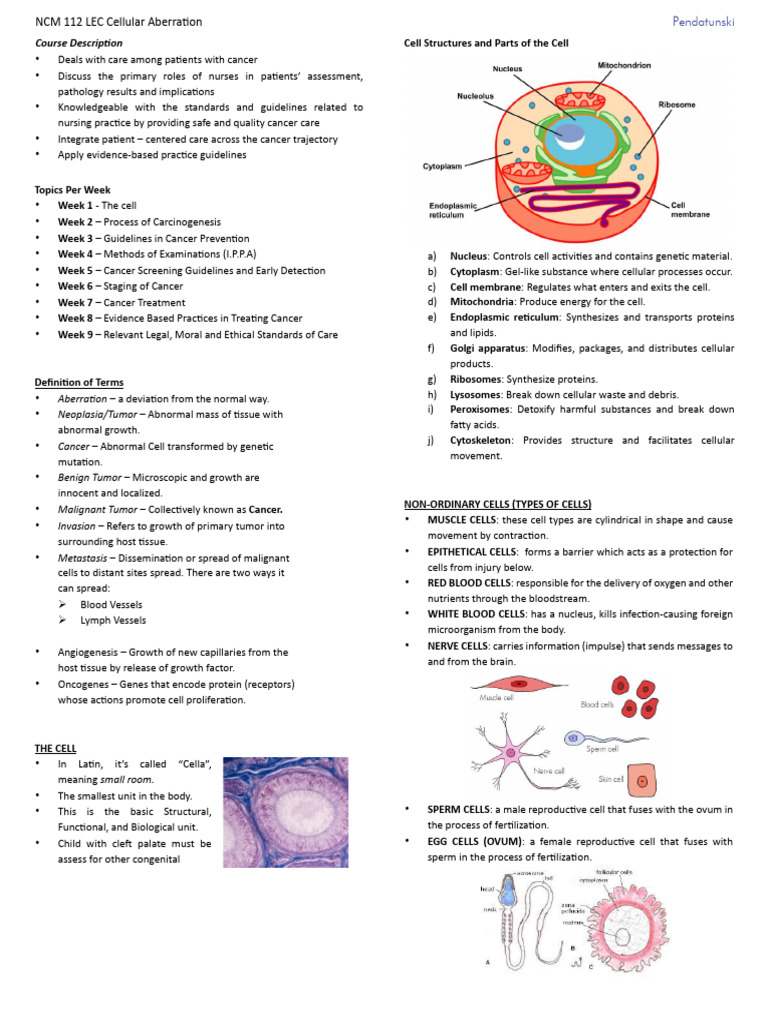 Understanding Cellular Aberration | PDF | Cell (Biology) | Cancer