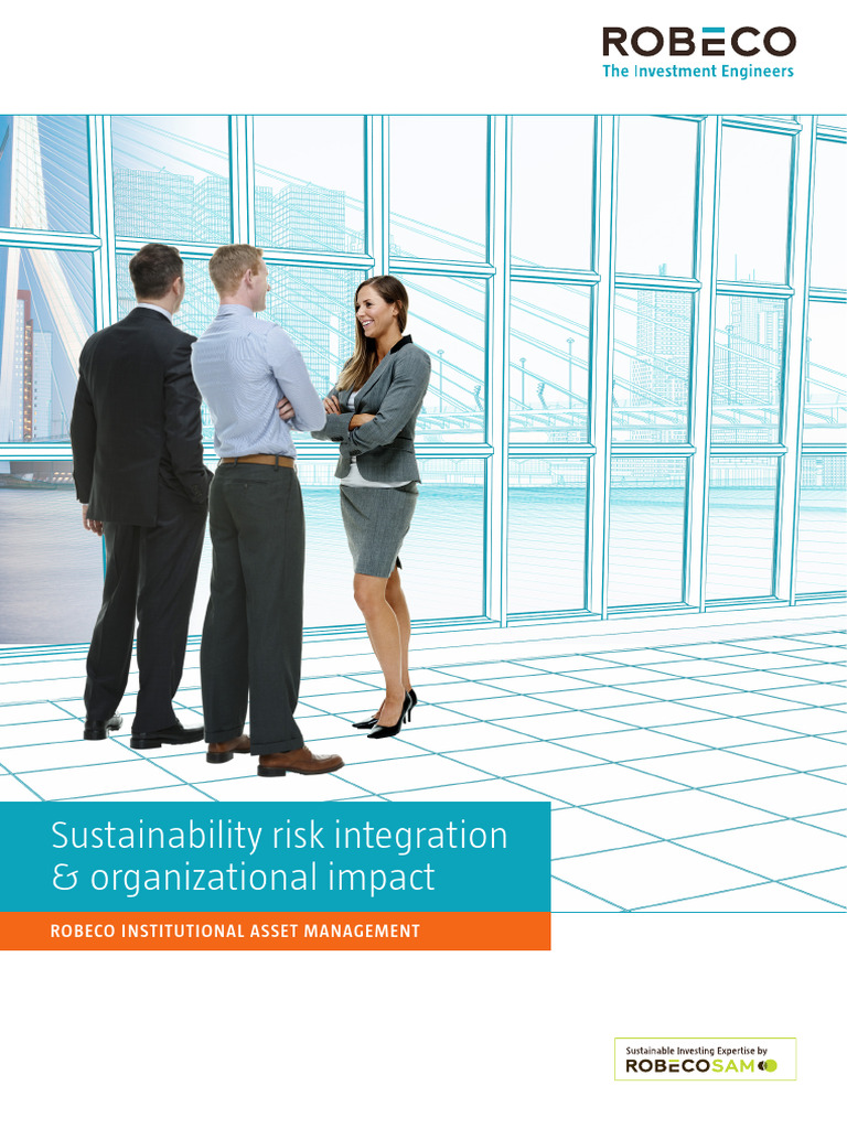Sustainability Risk Integration | PDF | Risk | Sustainability