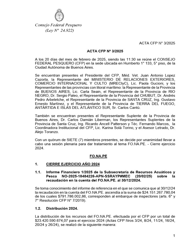 ACTA CFP 3-2025 FONAPE - Cierre Ejercicio 2024 | PDF