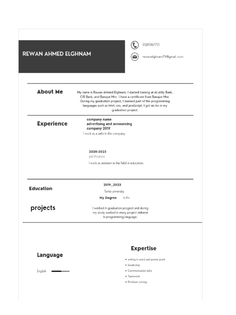 Work Resume2 | PDF