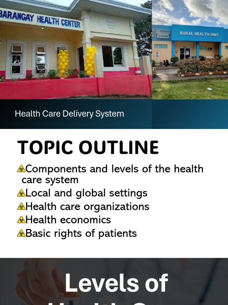 2.health Care Delivery System | PDF | Health Care | Health Professional