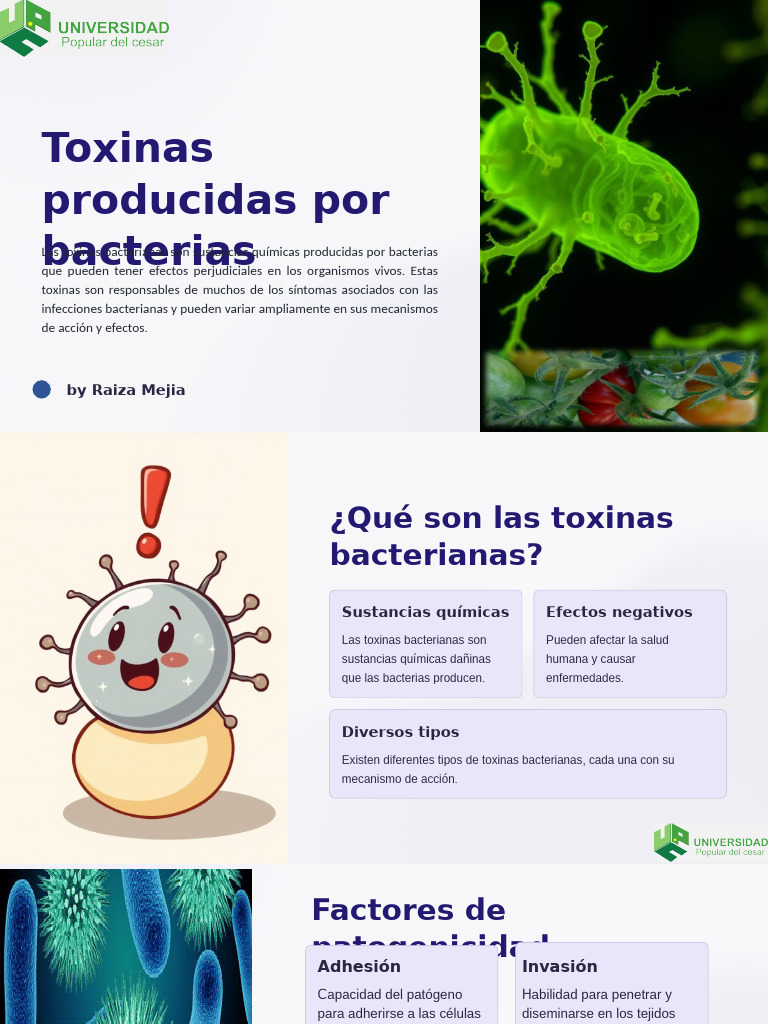 Toxinas Producidas Por Bacterias | PDF | Toxina | Escherichia coli