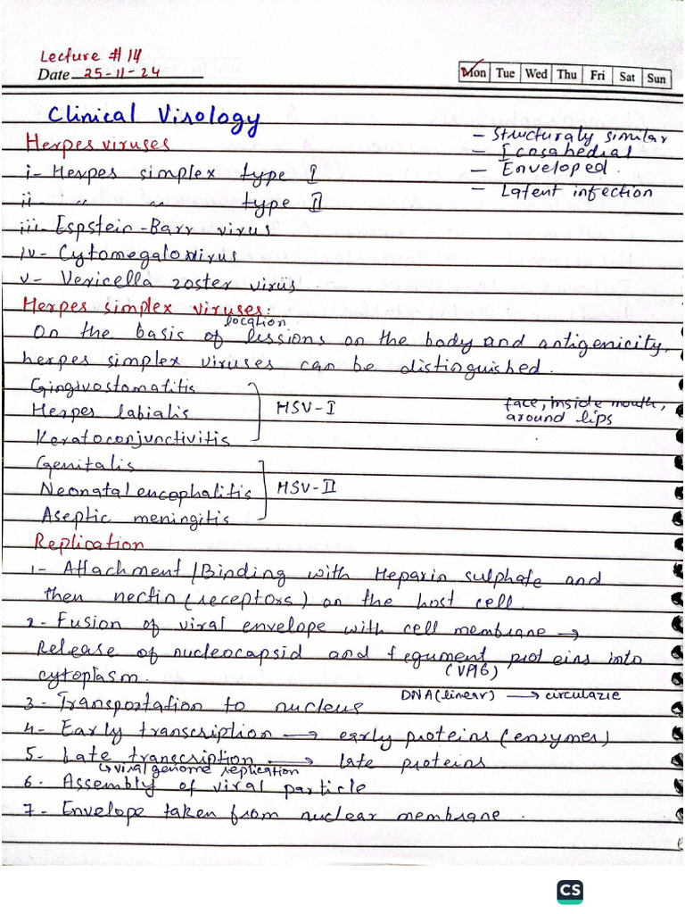 Final Virology Notes | PDF