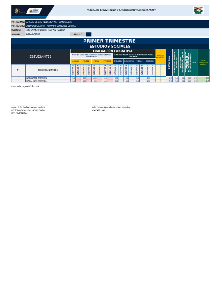 Calificaciones Nap Superior Eess | PDF