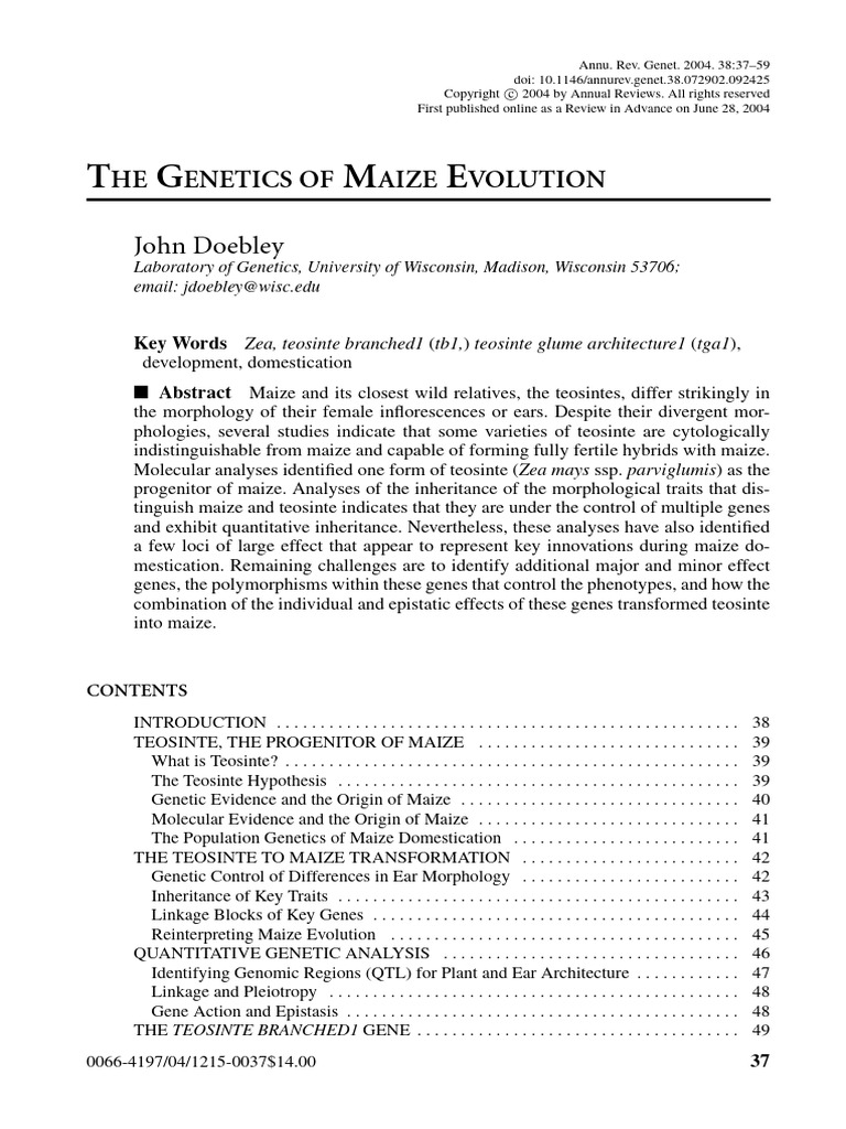 Genetics of Maize Evolution Explained | PDF | Maize | Domestication