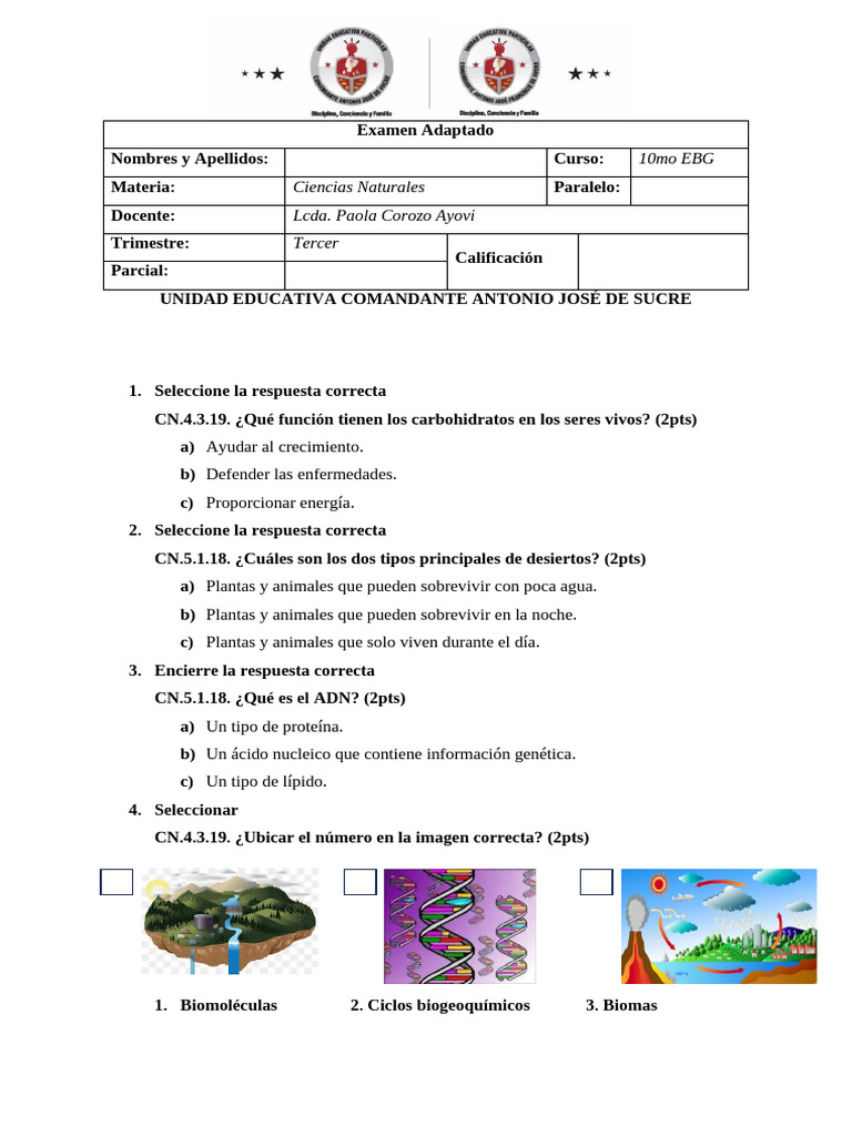 Examen Adaptado 3t de CCNN 10mo | PDF