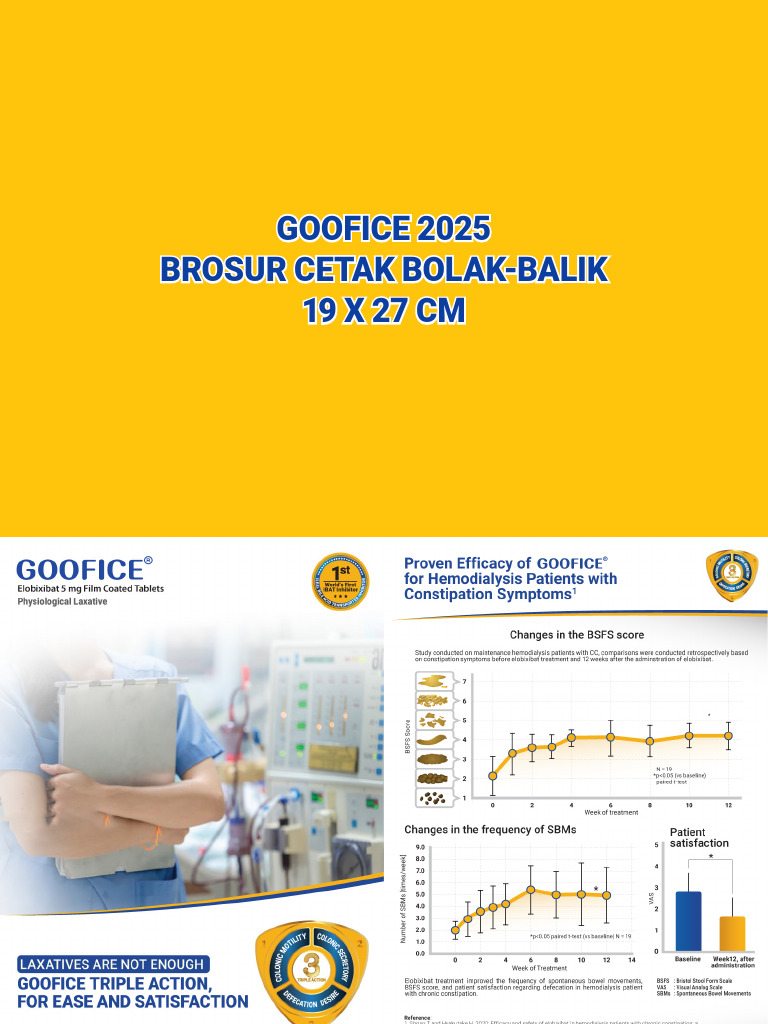 PRINTED BROCHURE GOOFICE 2025 Rev03 | PDF