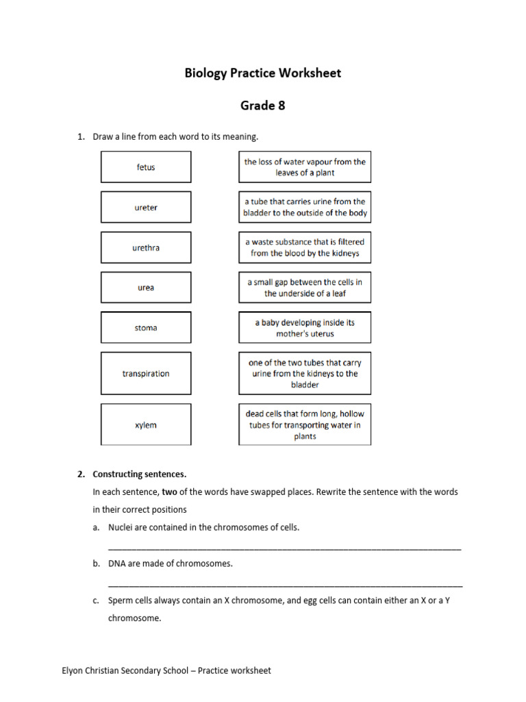 Biology " Practice Worksheet | PDF | Chromosome | Sperm