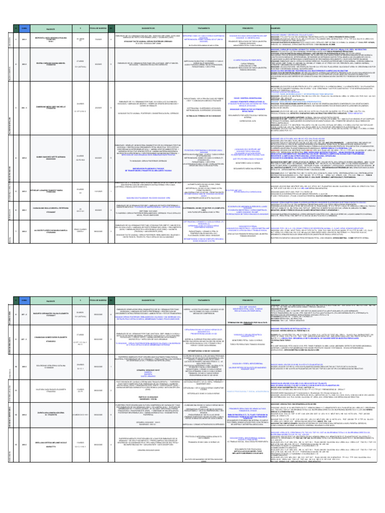 BITACORA - 09_02_2025 - 10_02_2025 OK.xlsx - Table 1 | PDF | Especialidades Medicas | Medicina ...