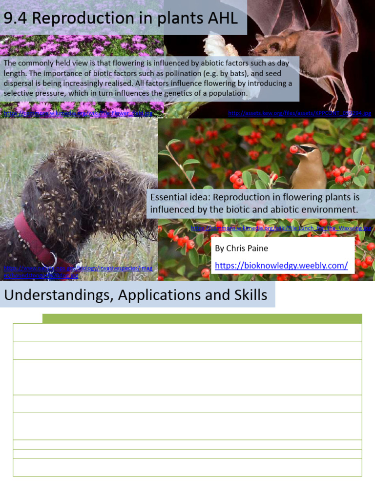 9.4 Reproduction in Plants | PDF | Flowers | Pollination