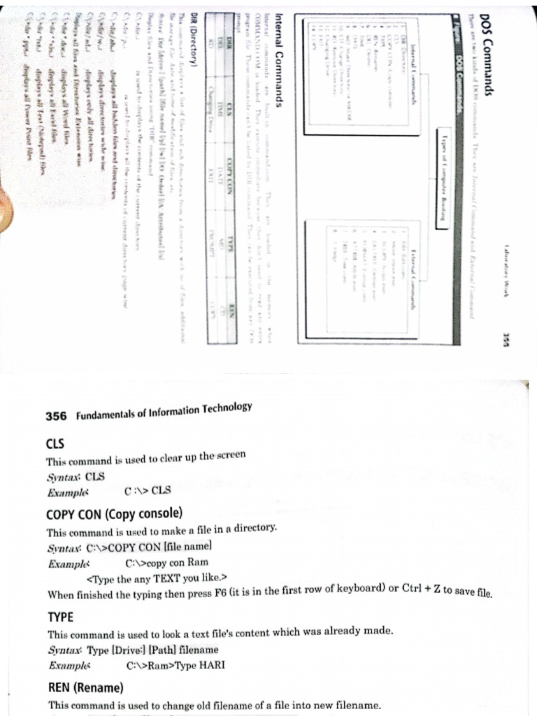 BCA1st DOS1 | PDF