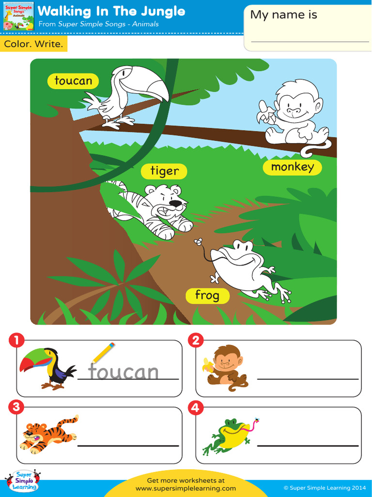Jungle Animal Activity Worksheet | PDF