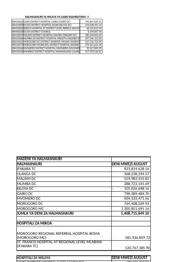 Gairo District Hospital Financial Report | PDF