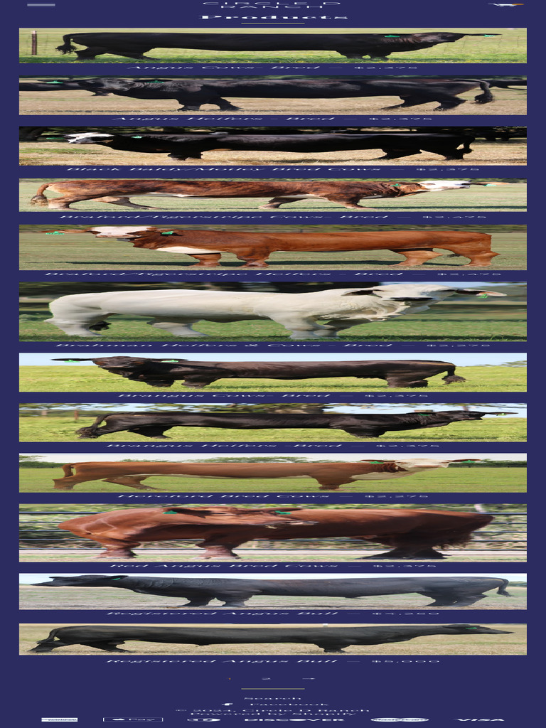 Products - Circle D Ranch | PDF