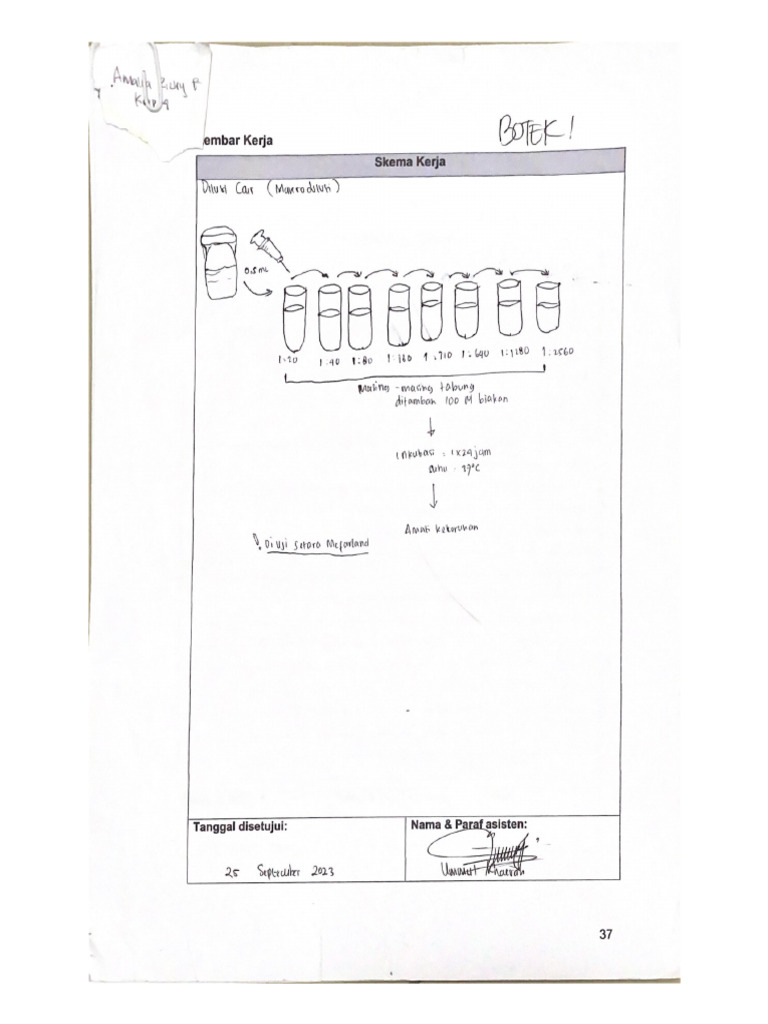Uji Konsentrasi Hambat Minimum | PDF