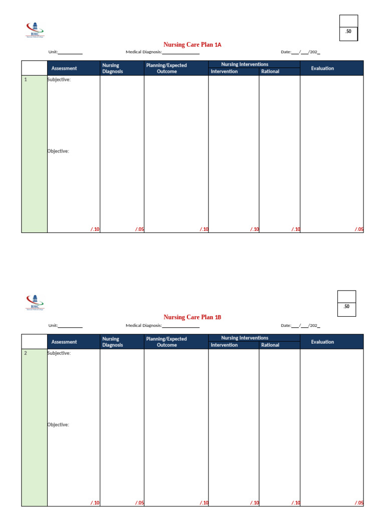 Nursing Care Plan Template | PDF
