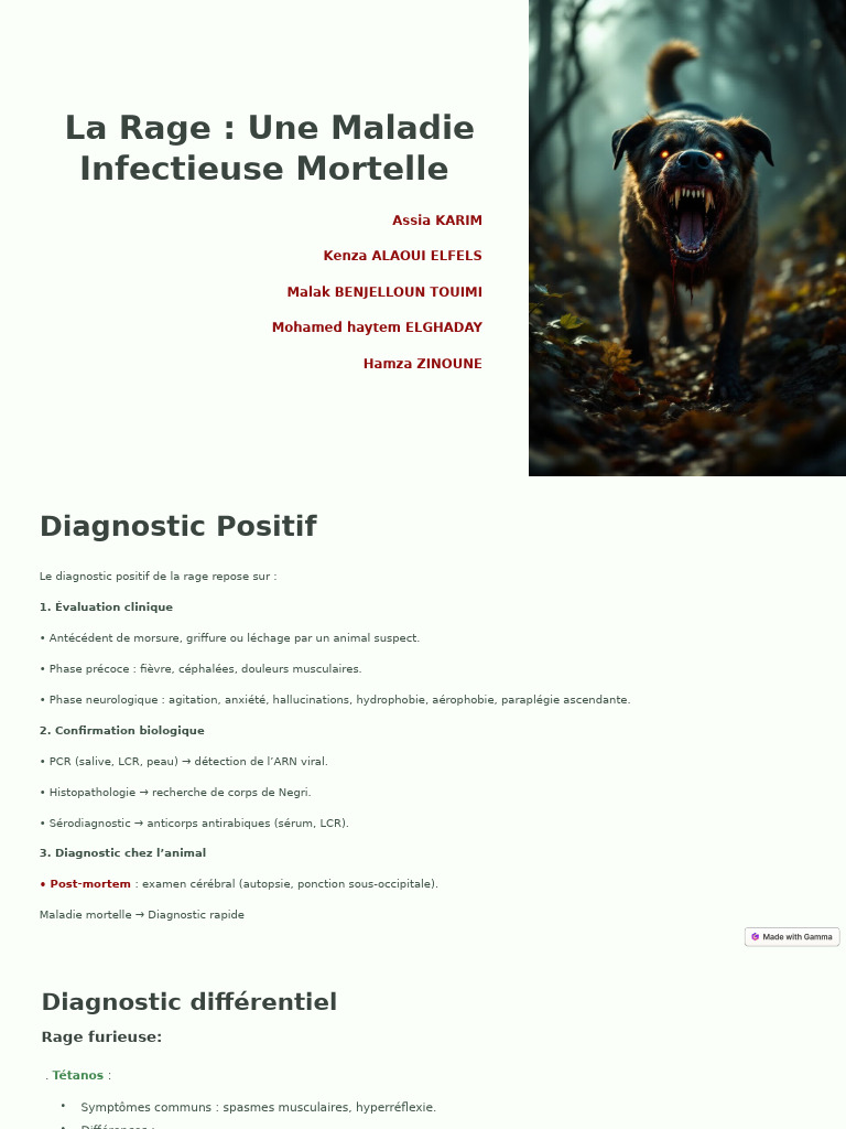La Rage Une Maladie Infectieuse Mortelle | PDF | Rage (maladie ...