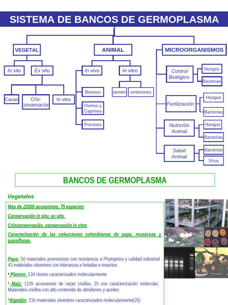 BANCOS DE GERMOPLASMA | PDF | Biología | Organismos