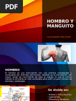 Anatomía de los rotadores externos del hombro | PDF | Hombro | Articulación