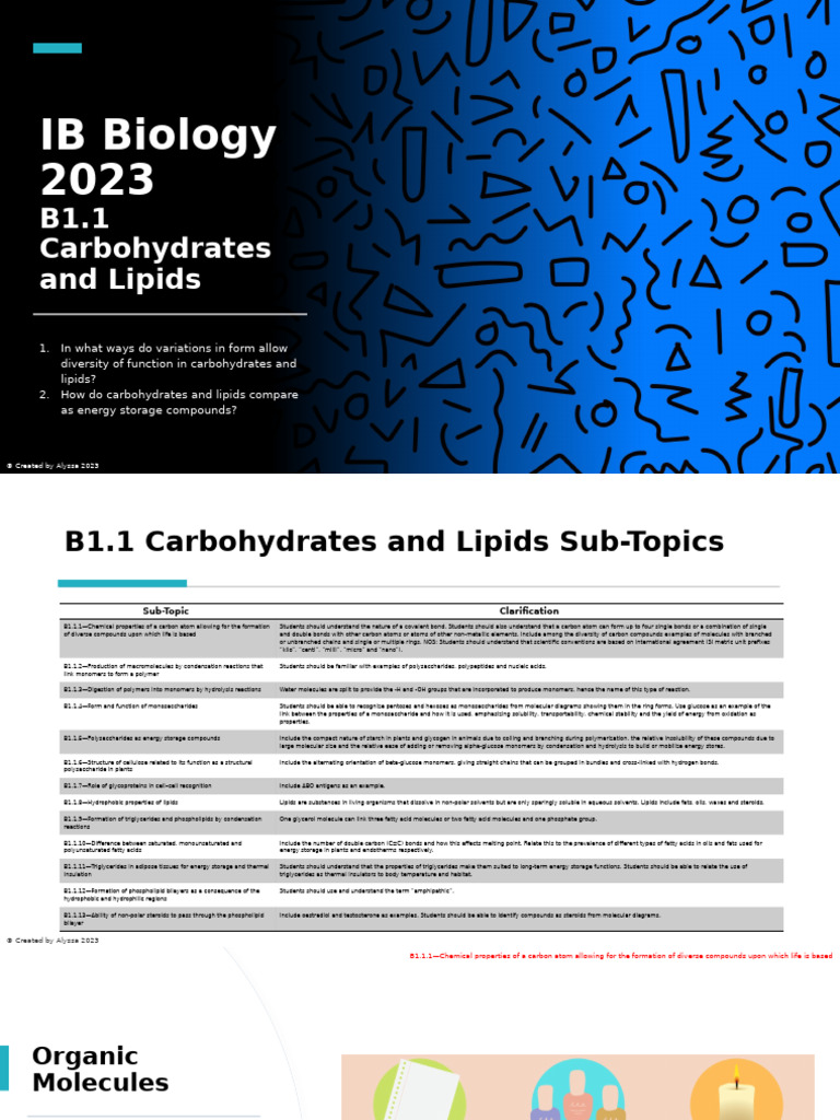 B1.1 Carbohydrates and Lipids PowerPoint-1 | PDF | Carbohydrates ...