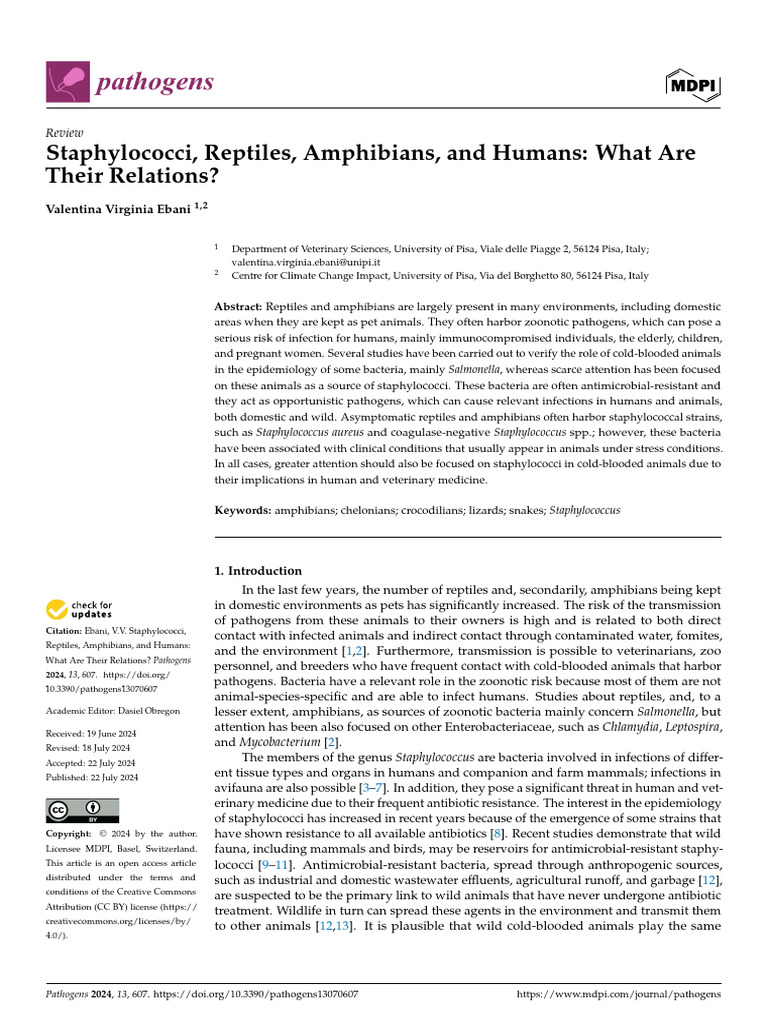 pathogens-13-00607-v2 | PDF | Staphylococcus | Staphylococcus Aureus