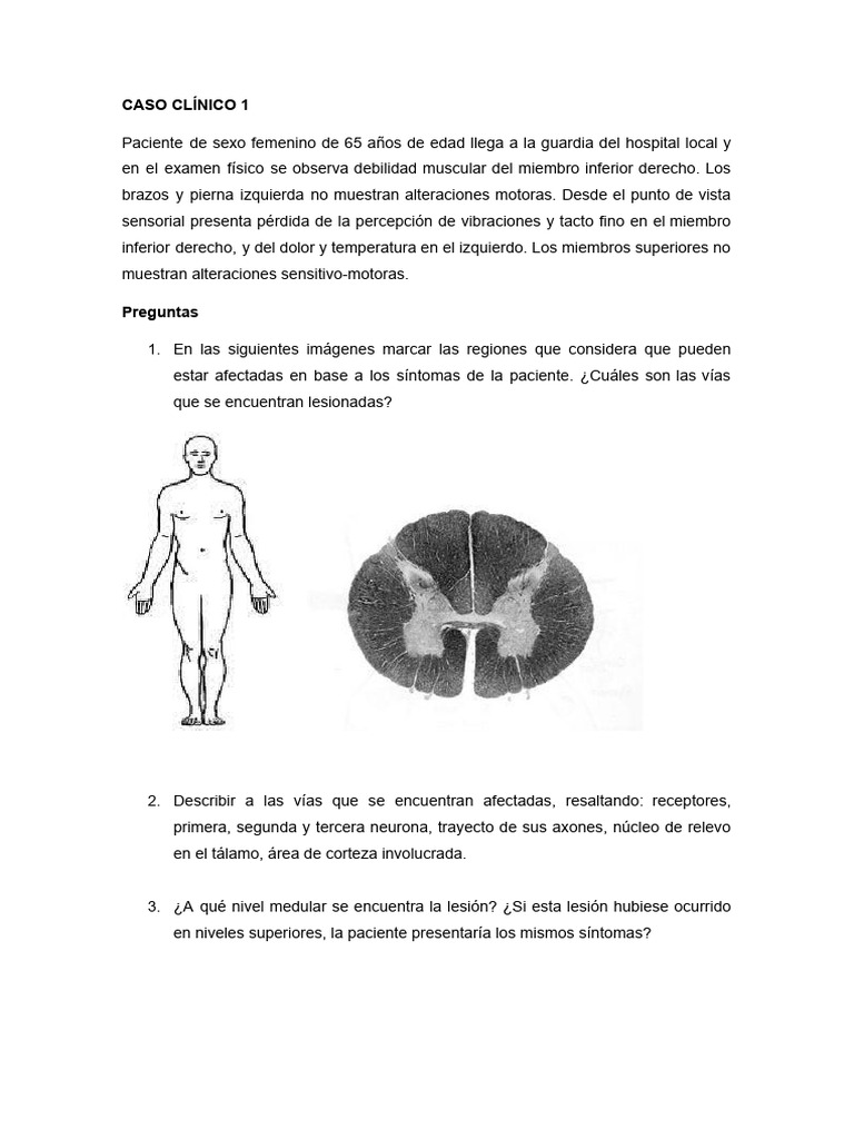 Casos Clínicos - TP7 | PDF