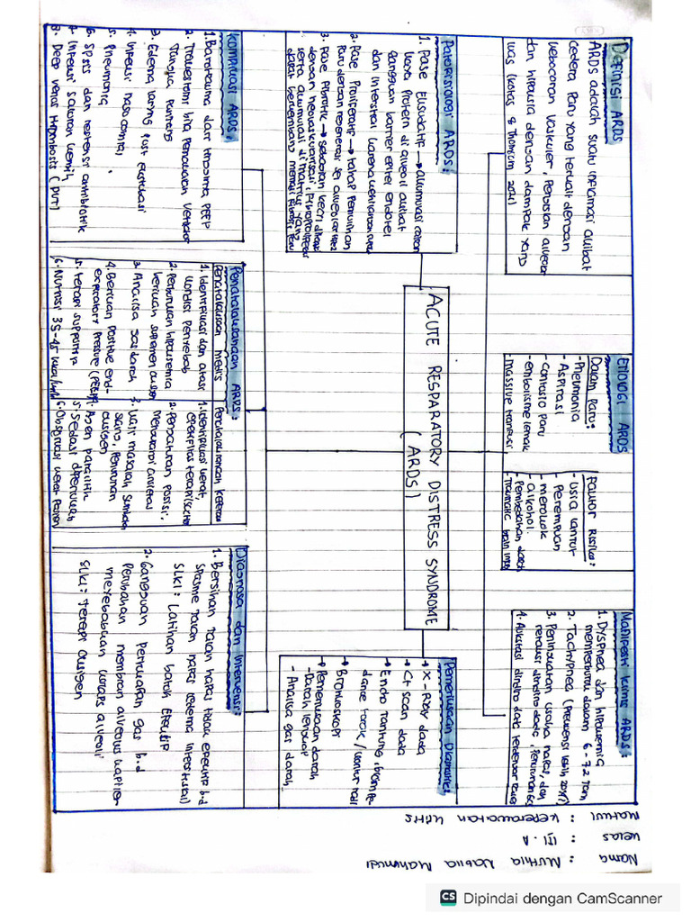 Muthia Nabila M - 223310940 | PDF