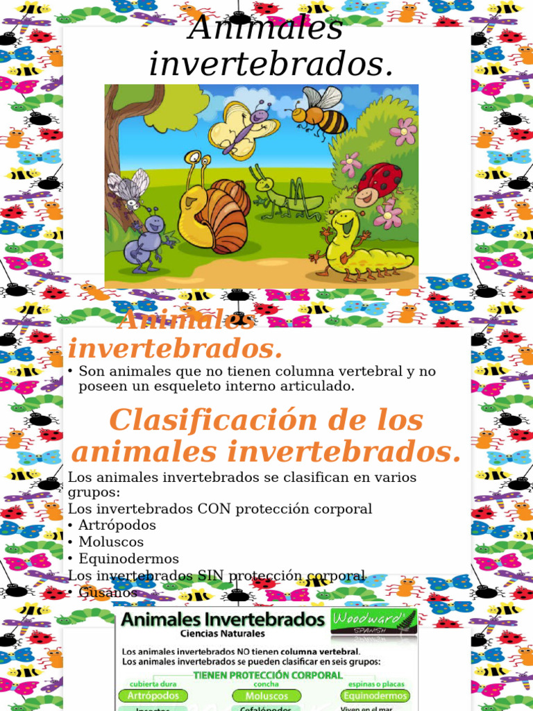 CCNN - 6TO - Apuntes Para La Clase de Invertebrados | PDF