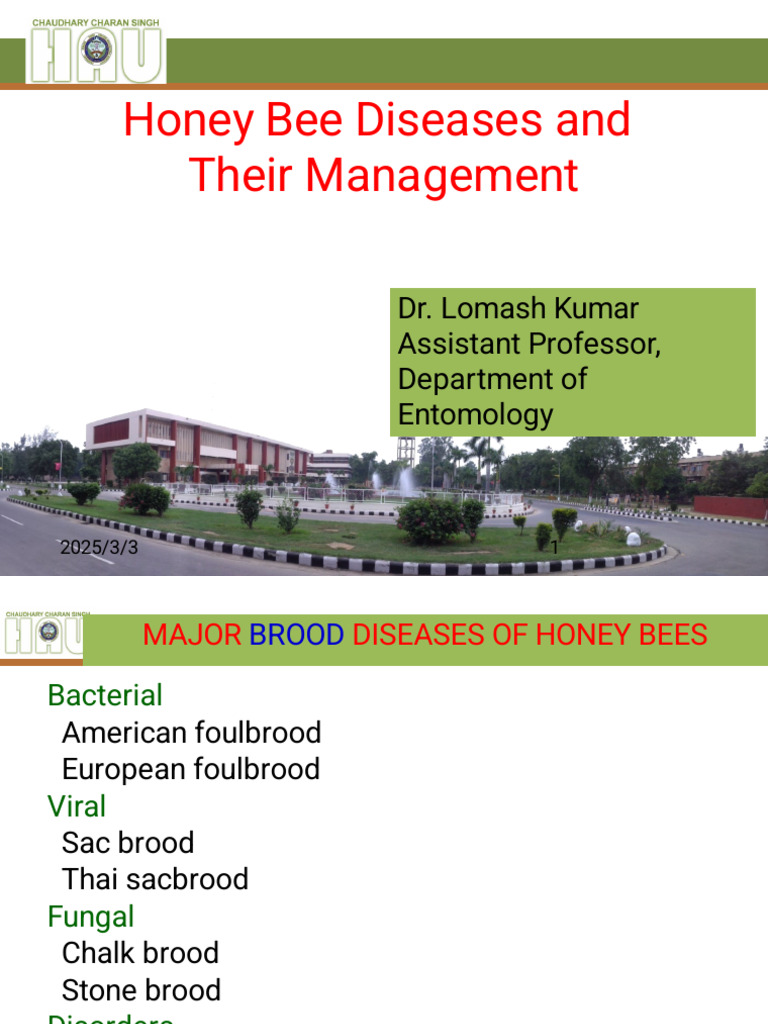 Protozoan Diseases in Honey Bees | PDF | Bees | Honey Bee