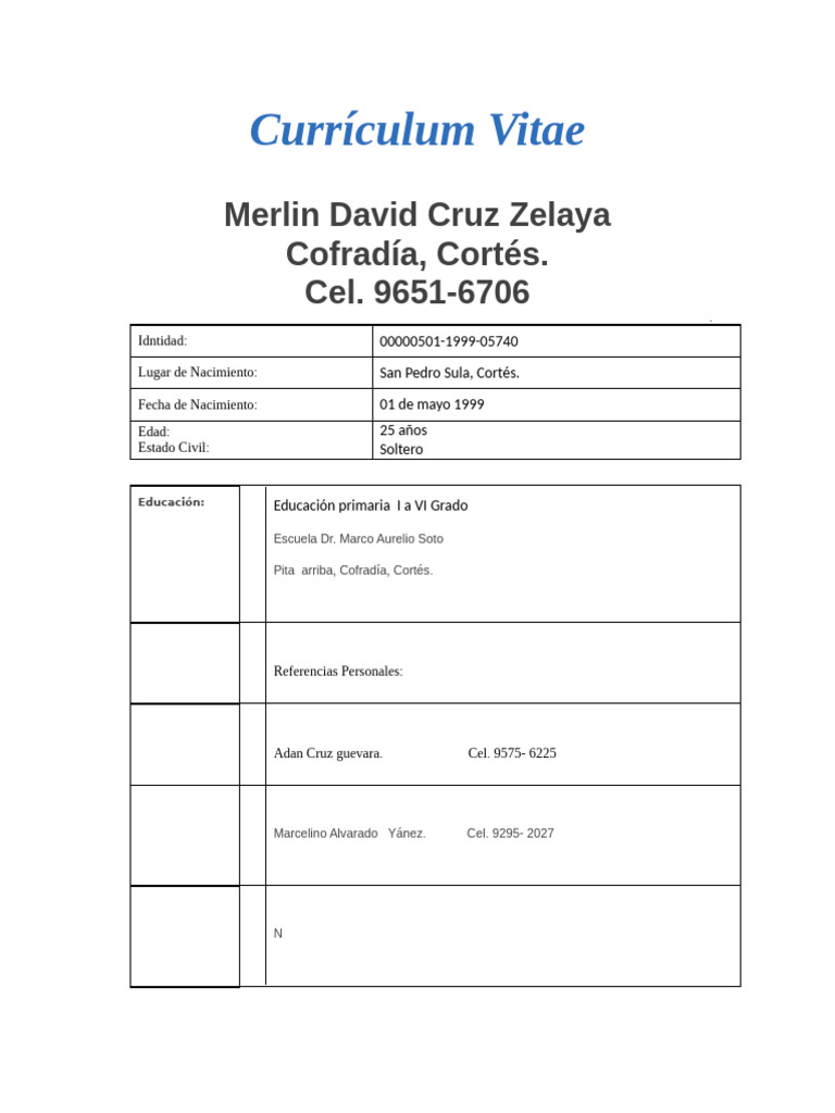 Currículum David Zelaya | PDF