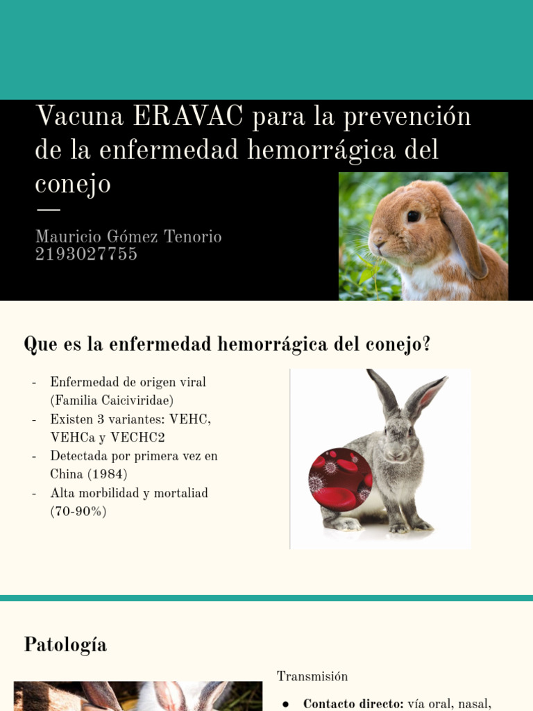 Vacuna ERAVAC contra enfermedad hemorrágica | PDF | Virus | Medicina