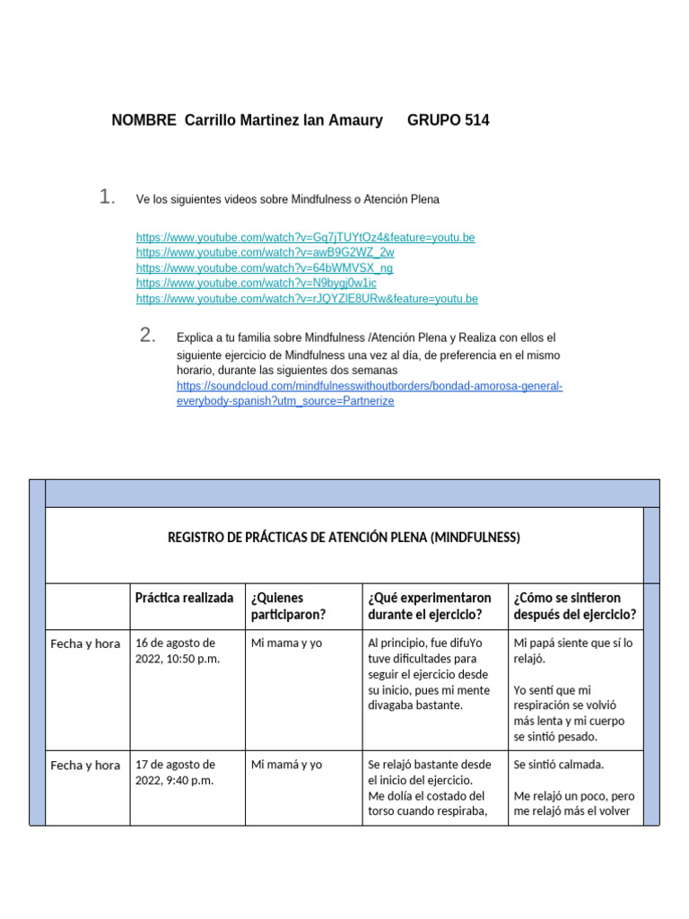 ATENCIÓN PLENA - Práctica IanCarrillo | PDF | Dormir | Sicología