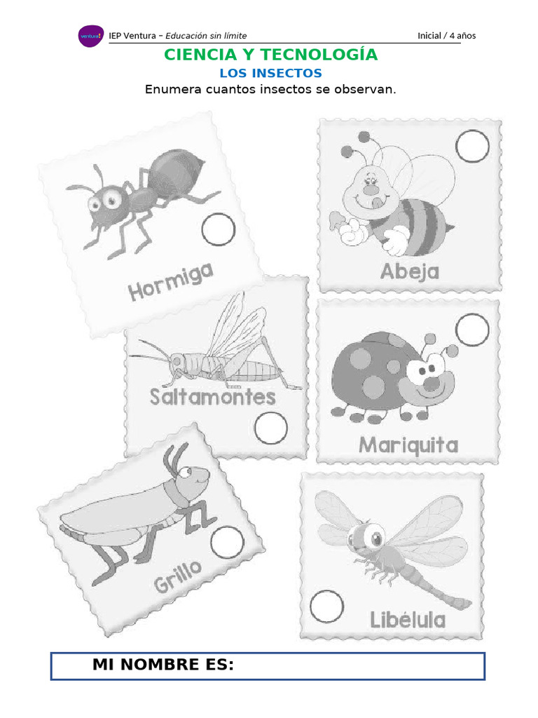 Ficha 25 de Junio Los Insectos | PDF