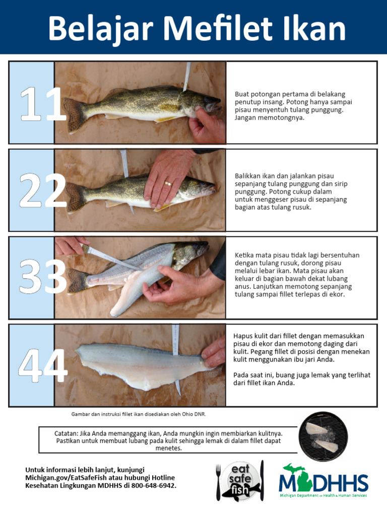 Cara Filet Ikan-_MDCH | PDF