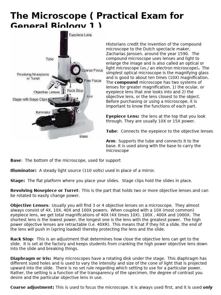 Microscope Basics for Biology Exam | PDF | Glass Engineering And ...