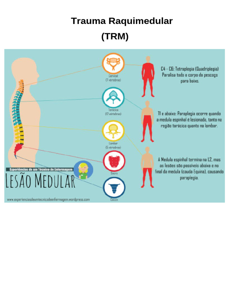 Trauma Raquimedular (TRM) | PDF | Nervo | Choque (circulatório)