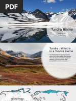 Tundra Food Chain Examples and Diagram | PDF | Foods | Ecology