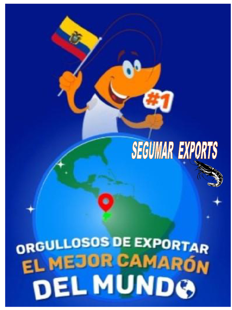 REEL SEGUMAR 4 | PDF