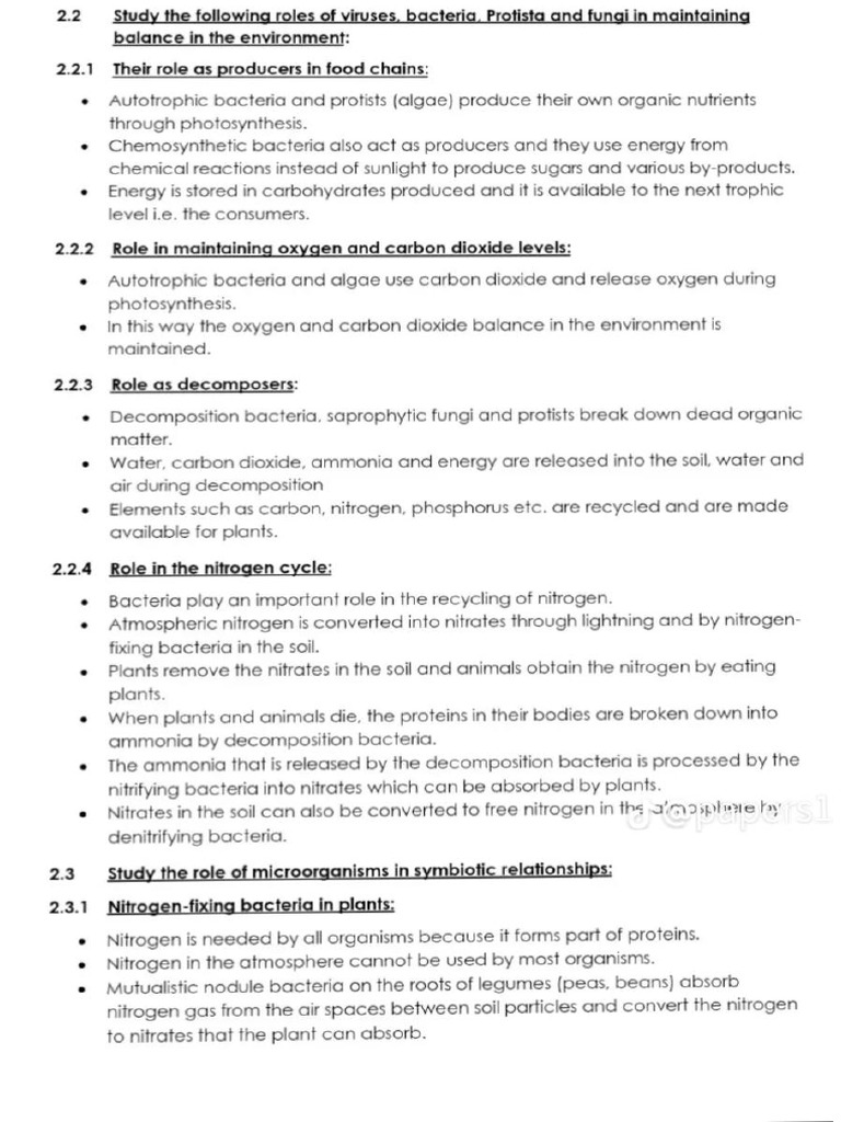 PDF Scanner 050225 6.47.40 | PDF