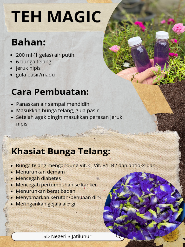 Teh Bunga Telang: Resep & Manfaat | PDF