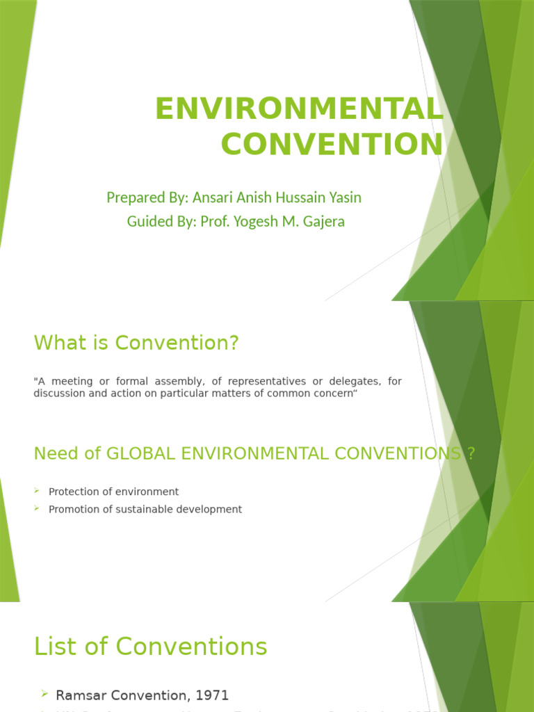 Global Environmental Conventions Overview | PDF | Kyoto Protocol ...
