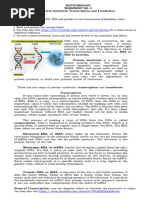 Protein Synthesis Race Worksheet | PDF | Teaching Methods & Materials ...