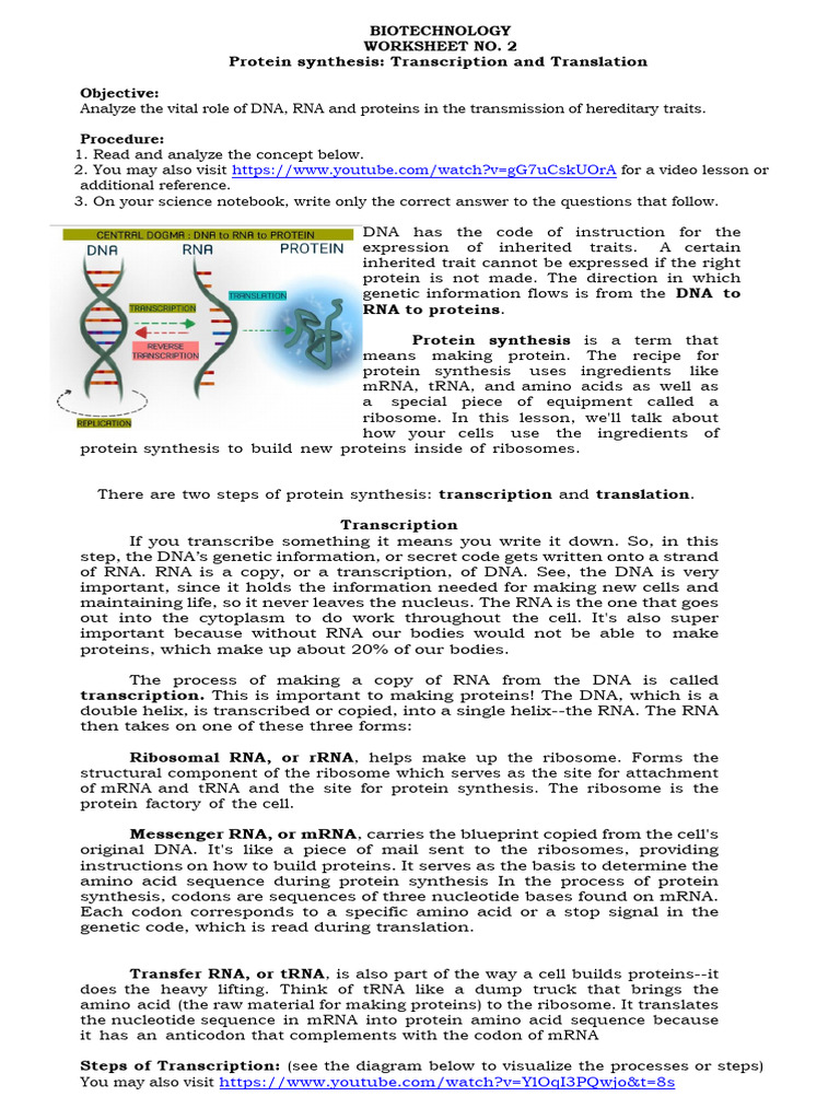 Ws 2 Transcription and Translation | PDF | Translation (Biology) | Rna