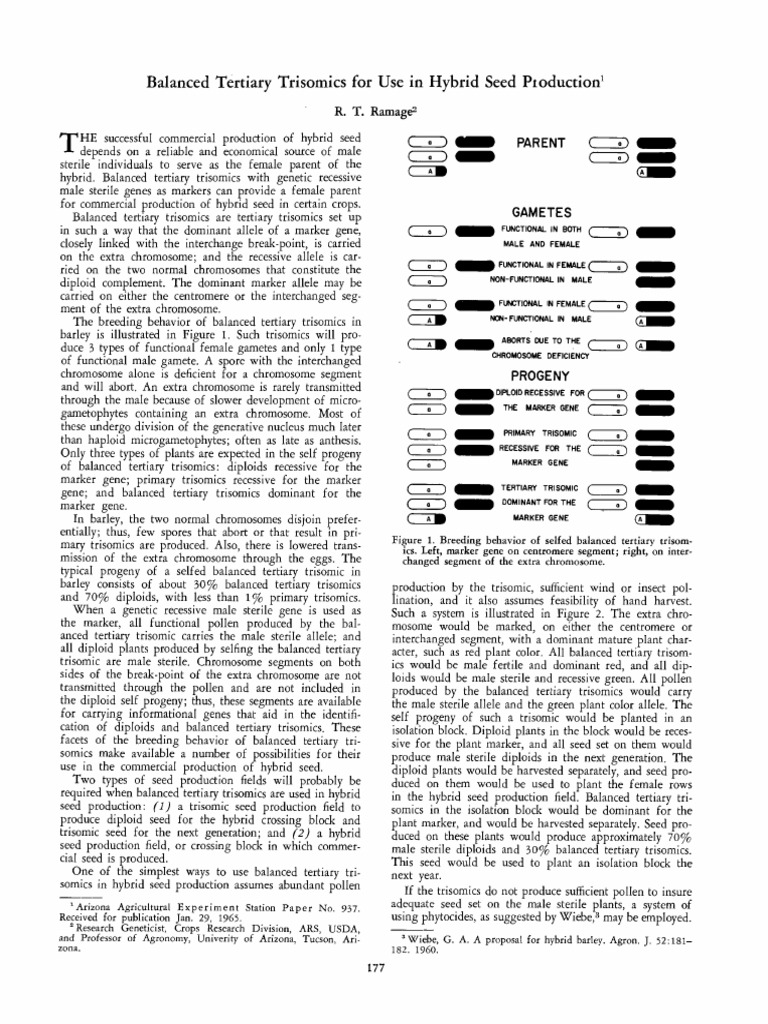 Balanced Tertiary Trisomics in Hybrid Seed | PDF | Dominance (Genetics ...