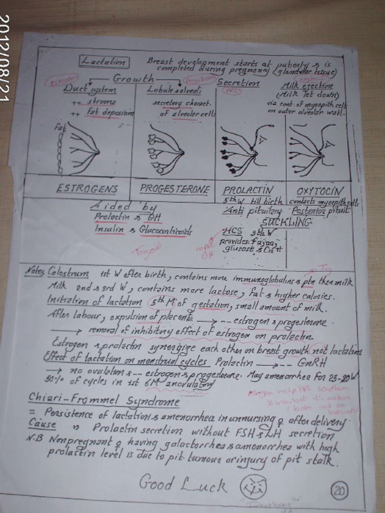 Female - Diagrams | PDF