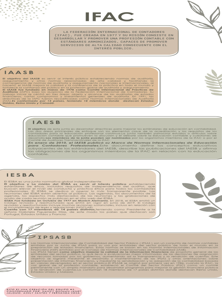 Inforgrafia - Ifac - Equipo #3 | PDF | normas internacionales de ...